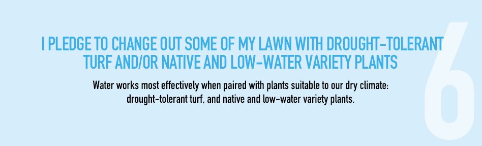 Make Water Work - Take the challenge! | Okanagan WaterWise
