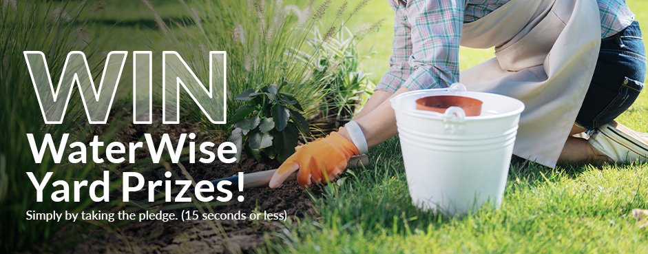 Make Water Work Plant Collection | Okanagan WaterWise